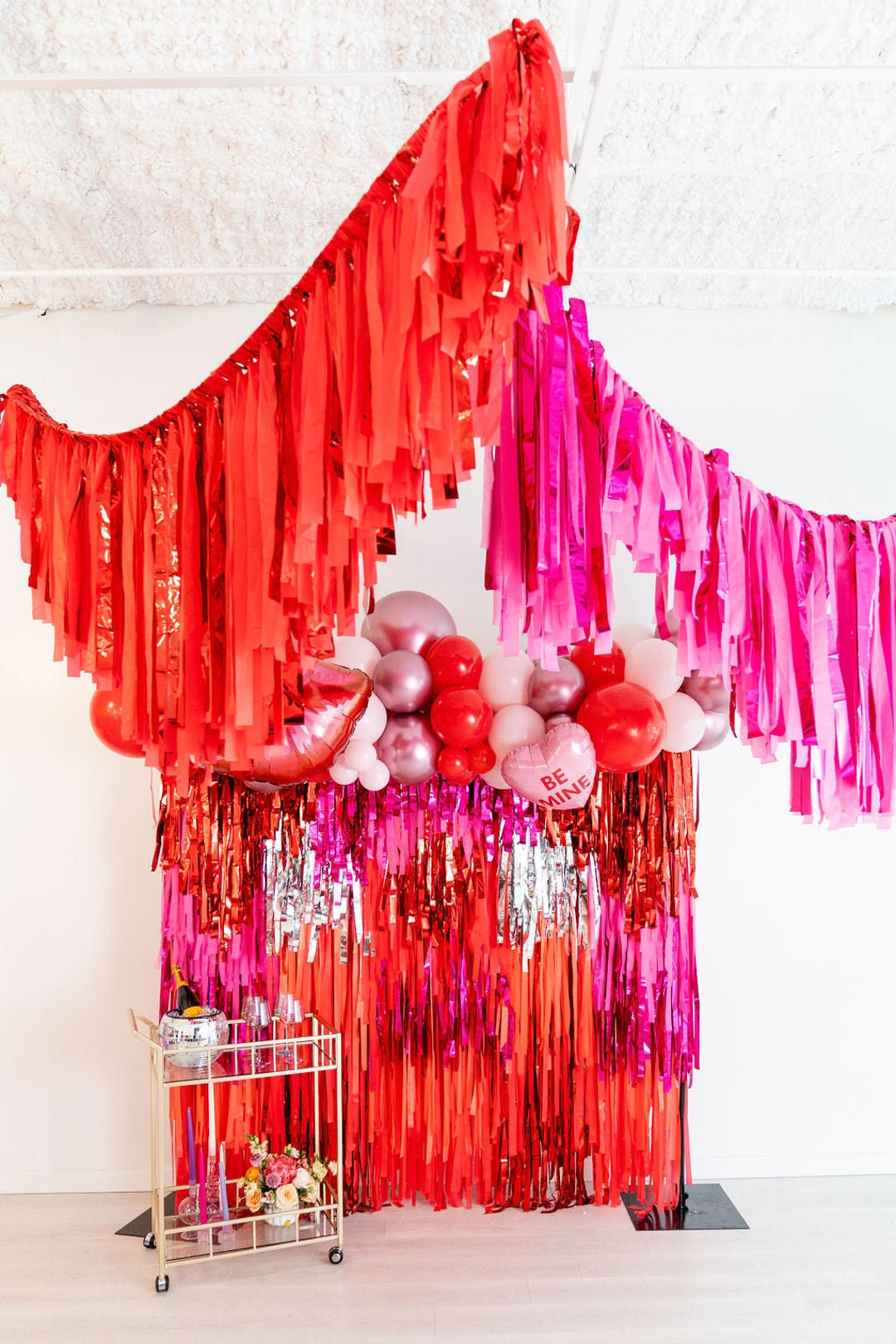 Valentines Party Decor Xoxo Fringe Backdrop Valentines Day Party Red ...