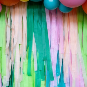 Cactus Fiesta Backdrop Balloon Garland Final Fiesta Balloon Garland Kit ...