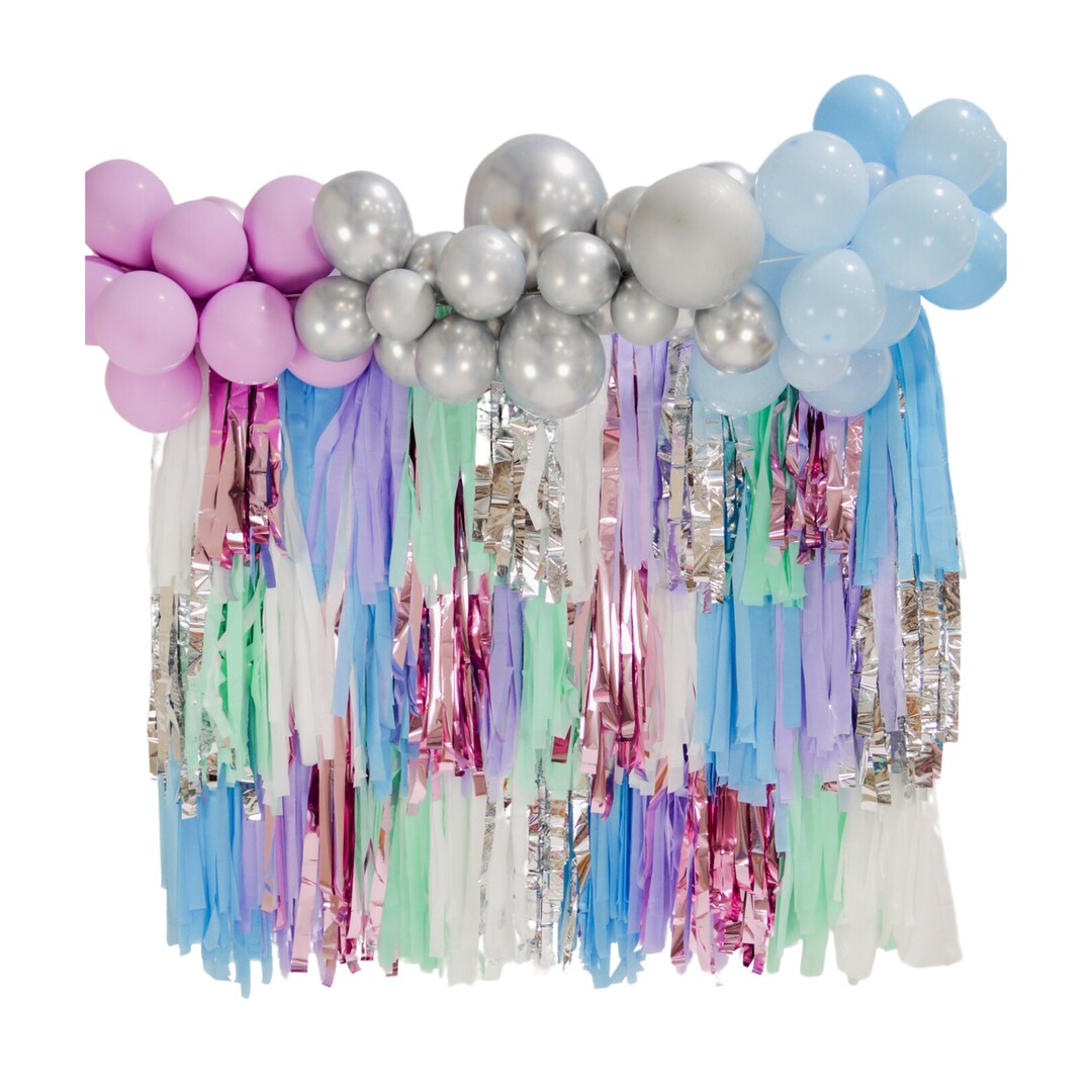 Let It Go Fringe Backdrop Party Decoration Frozen Birthday - Etsy
