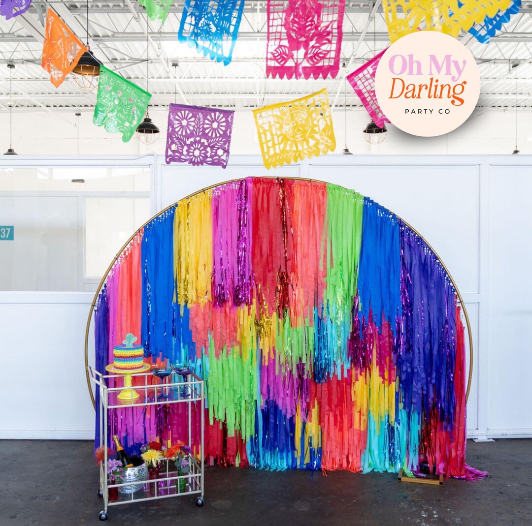 Handmade Plastic Fringe Fiesta Backdrop: Colorful Party Decor, Fringe ...