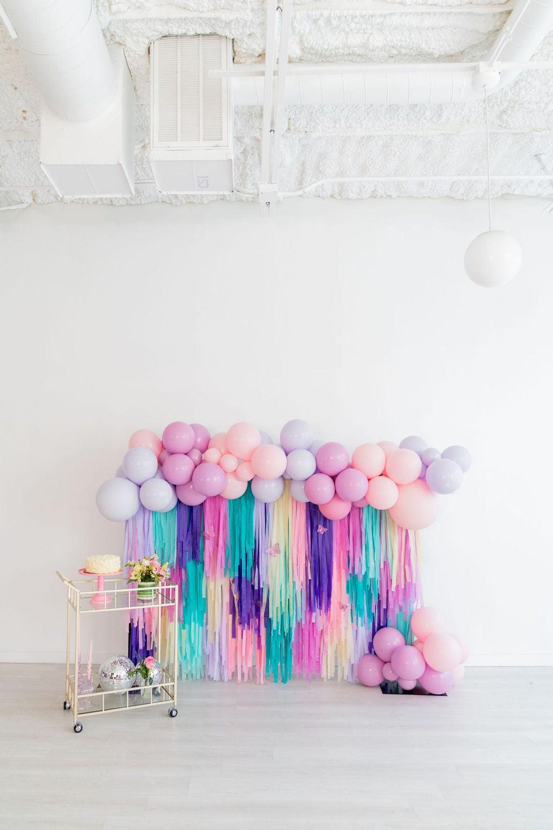 Handmade Plastic Fringe Backdrop: Birthday Party Photo Booth Decor ...