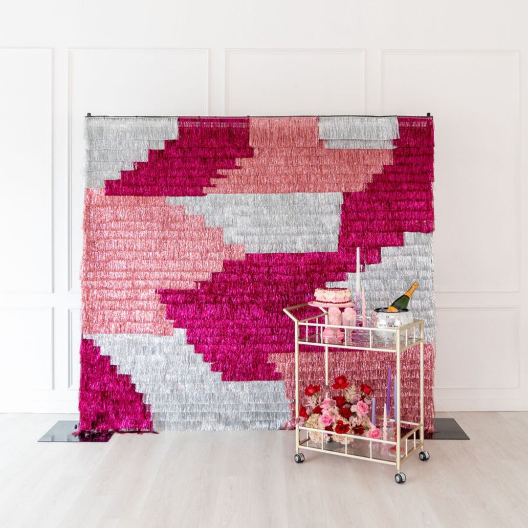 Pink and Silver Fringe Backdrop Bachelorette Fringe Backdrop Pink Party ...