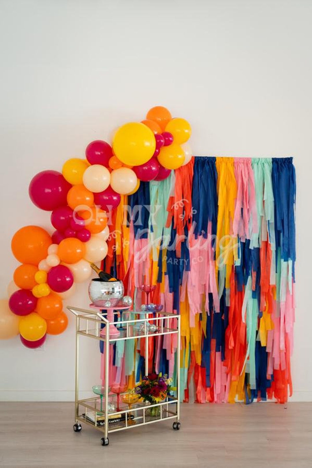 Fiesta Party Backdrop 4 Fringe Backdrops Balloon Garlands Party Decor ...