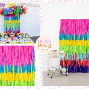 Fiesta Fringe Backdrop: Handmade Plastic Streamers, Party Photo Booth ...