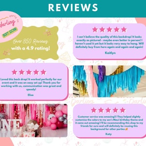 Veuve Bachelorette Party Backdrop/bridal Shower Party Backdrop/pink and ...
