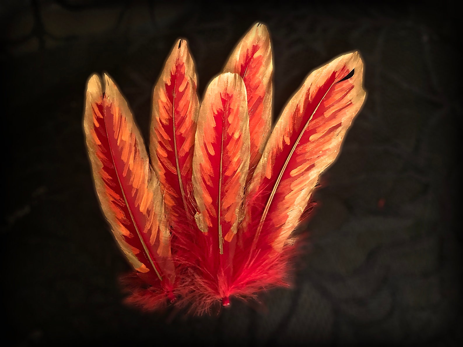 Phoenix Feathers - Pre-made Witches Apothecary Bottle - Etsy