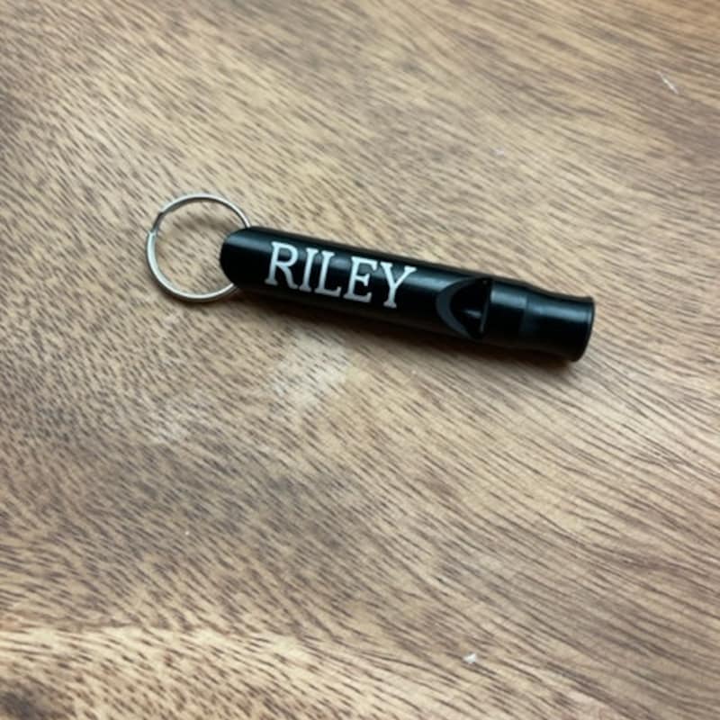 Safety Whistle Keychain - Etsy