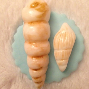 Sea Shell Fondant Toppers - Etsy