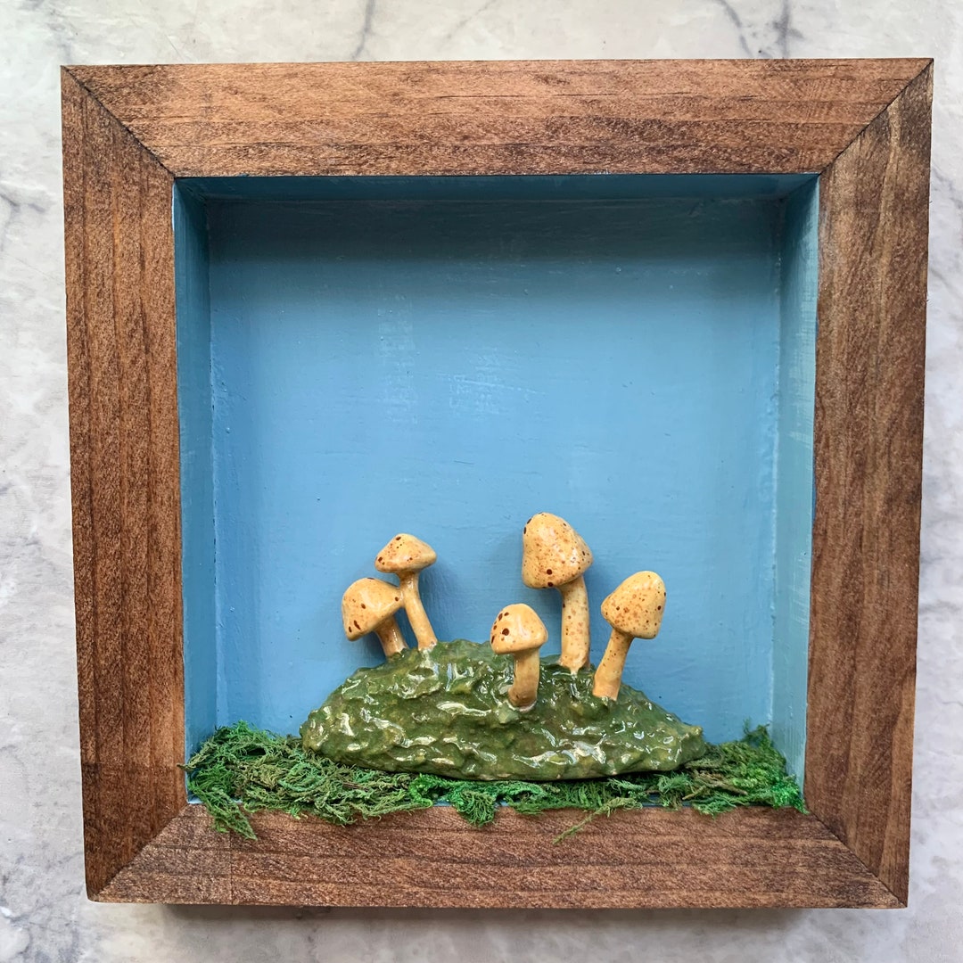 Mini Mushrooms, Shadow Box Ceramic - Etsy