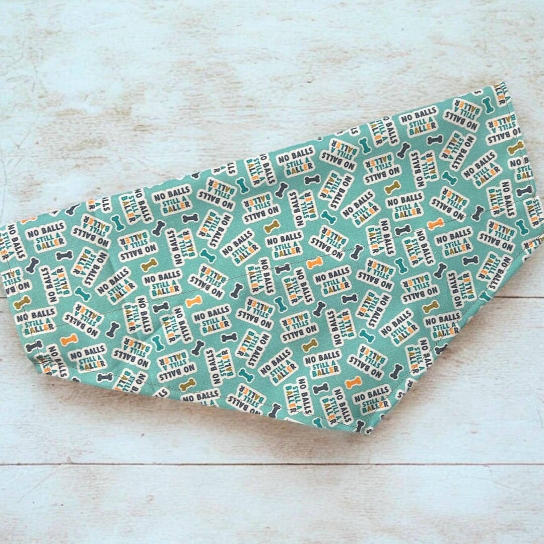 No Balls but Still A Baller Dog Bandana, Dog Neutering Dog Bandana, Co ...