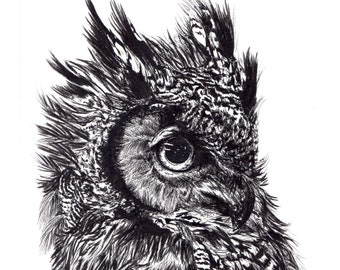 Ink Owl Drawing - Etsy