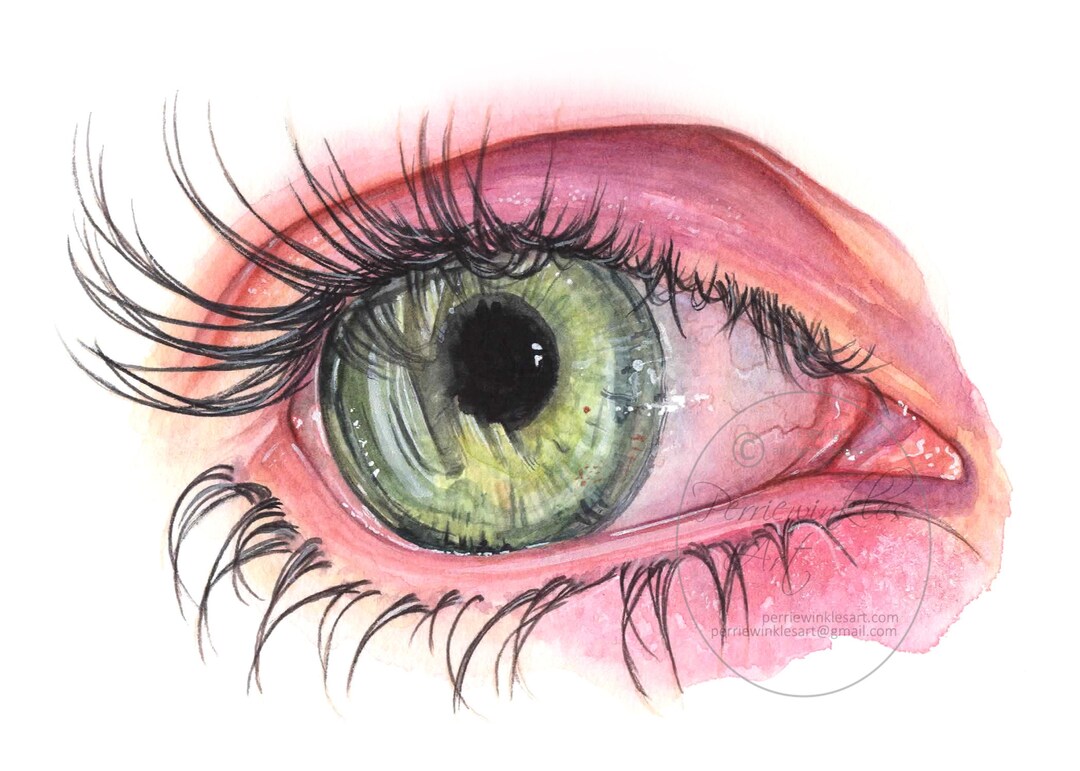 Human Eye Realistic Watercolor Drawing Painting Cute Portrait Light ...