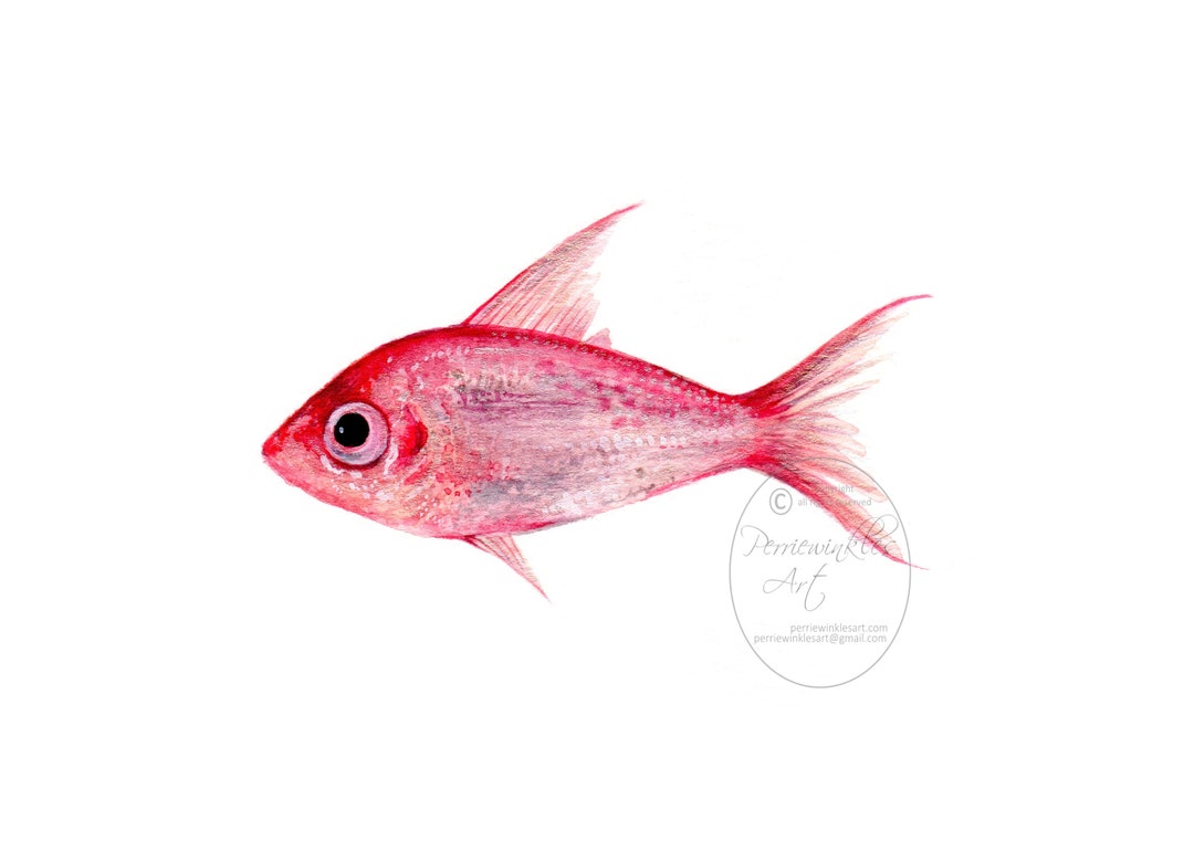 Fish Fisher Fishing Fisherman Beach Ocean Cute Custom 5x7 8x10 9x12 ...