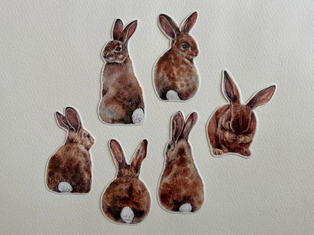 Sticker Set Bunny Rabbit Cute Vinyl Waterproof Art Sticker Pack ...