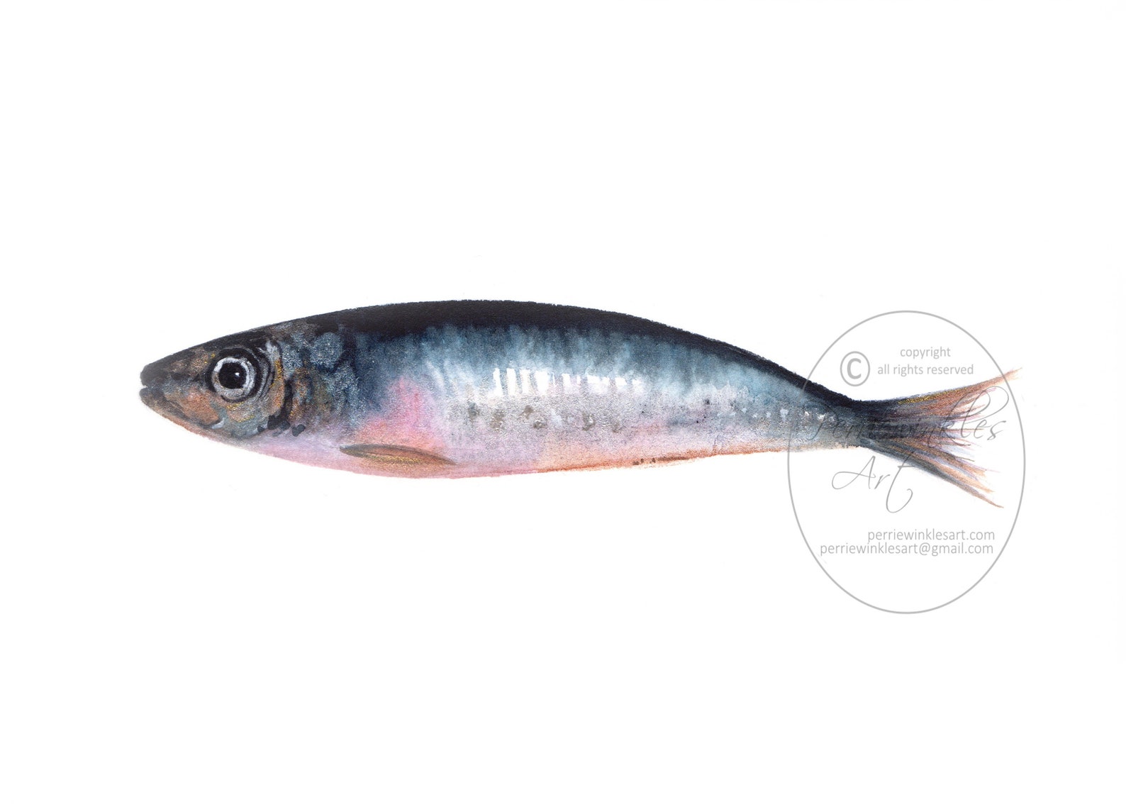 Fish Fisher Fishing Fisherman Beach Ocean Cute Custom 5x7 8x10 9x12 ...