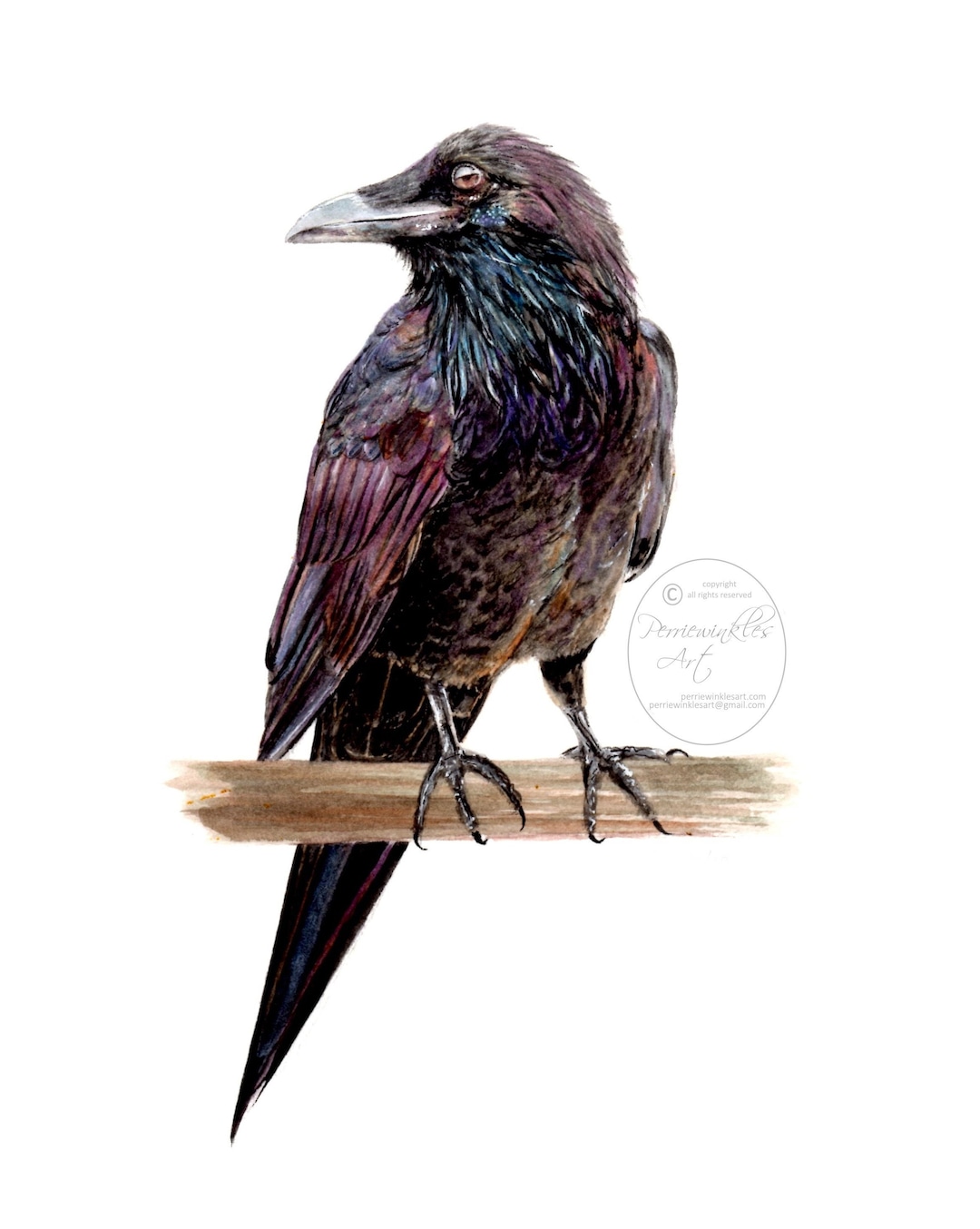 Bird Painting, Bird Art, Raven, Dark Art, Art Prints, Animal Prints ...