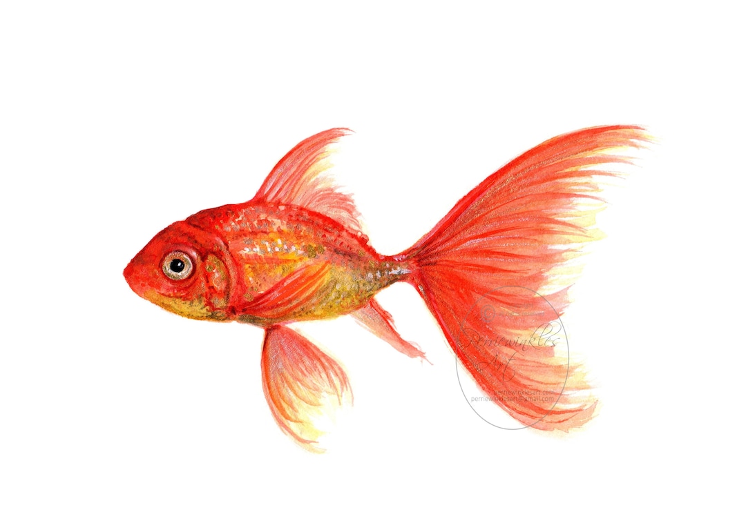 Fish Fisher Fishing Fisherman Beach Ocean Cute Custom 5x7 8x10 9x12 ...
