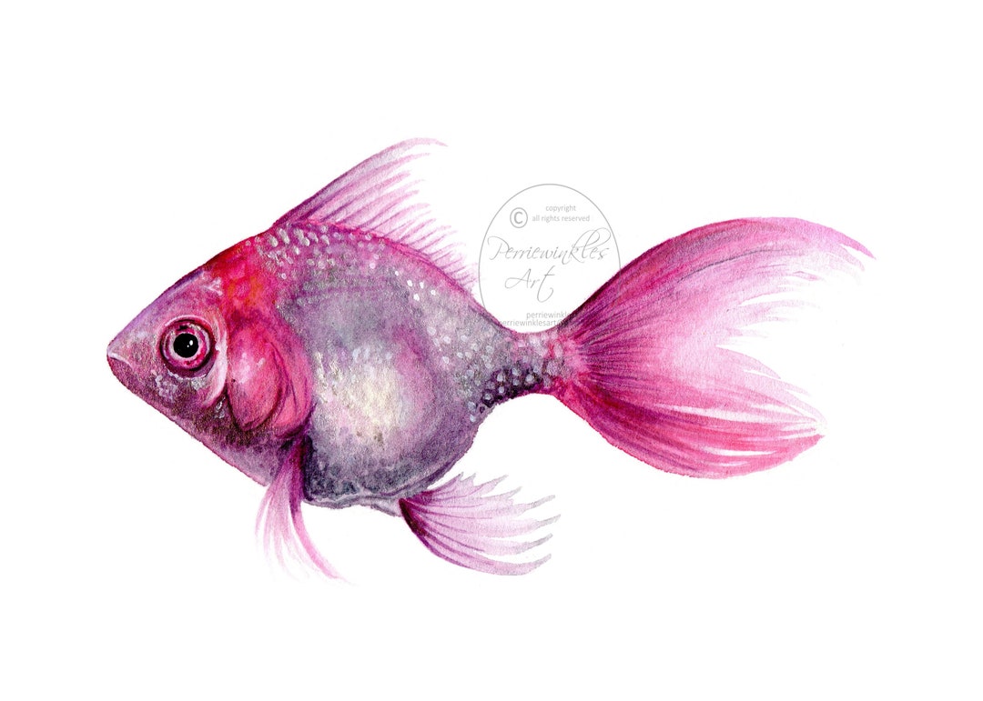 Fish Fisher Fishing Fisherman Beach Ocean Cute Custom 5x7 8x10 9x12 ...