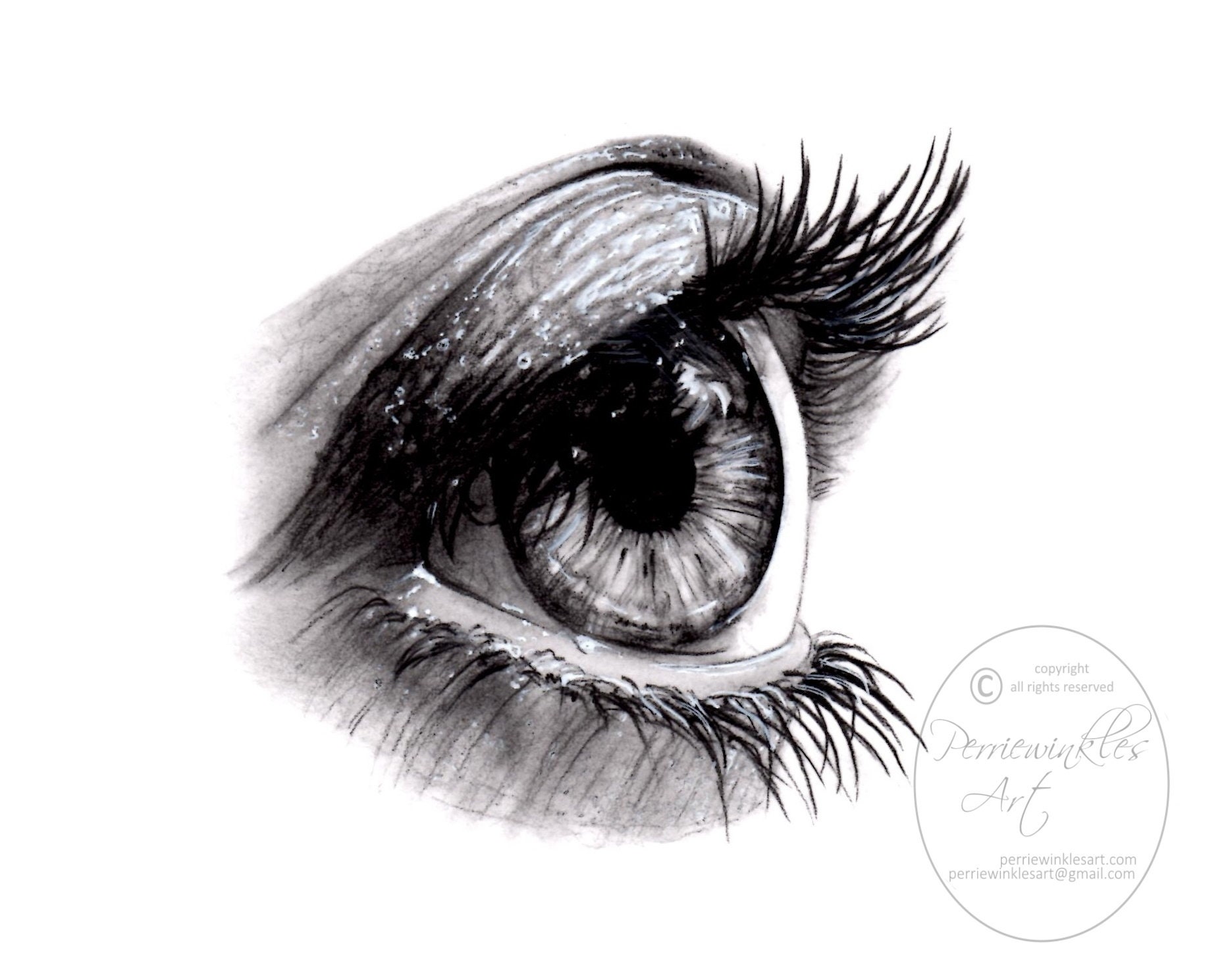 Realistic Male Eye Sketch