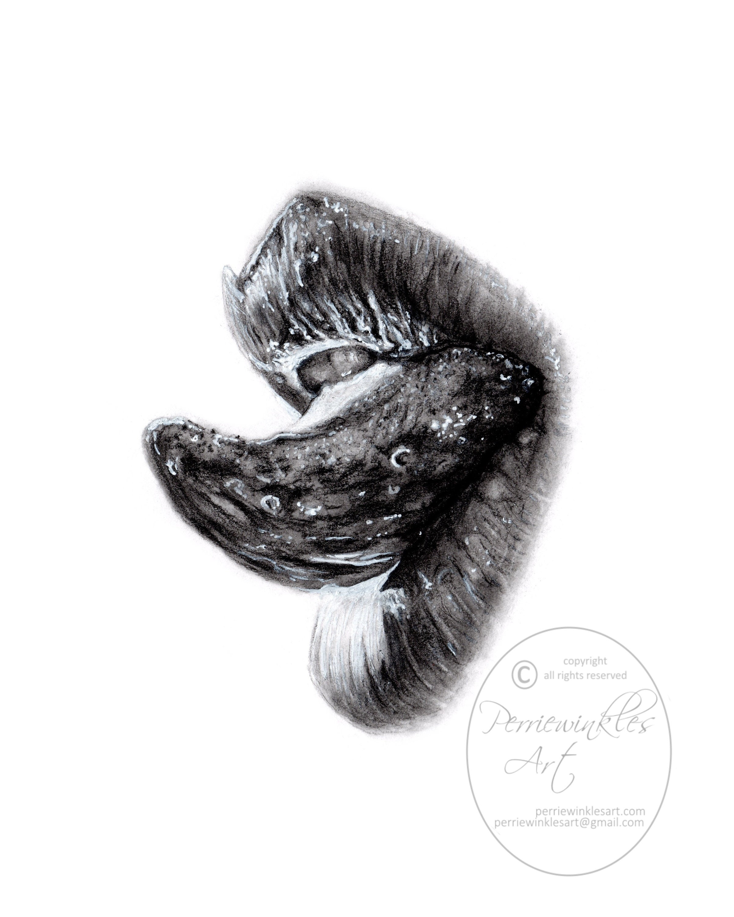 Lips Drawing Art Prints Fine Art Print hyperrealistic art | Etsy