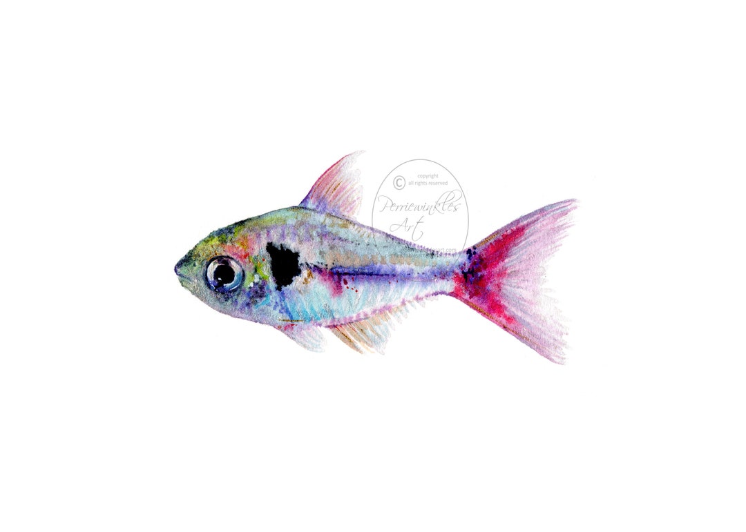 Fish Fisher Fishing Fisherman Beach Ocean Cute Custom 5x7 8x10 9x12 ...