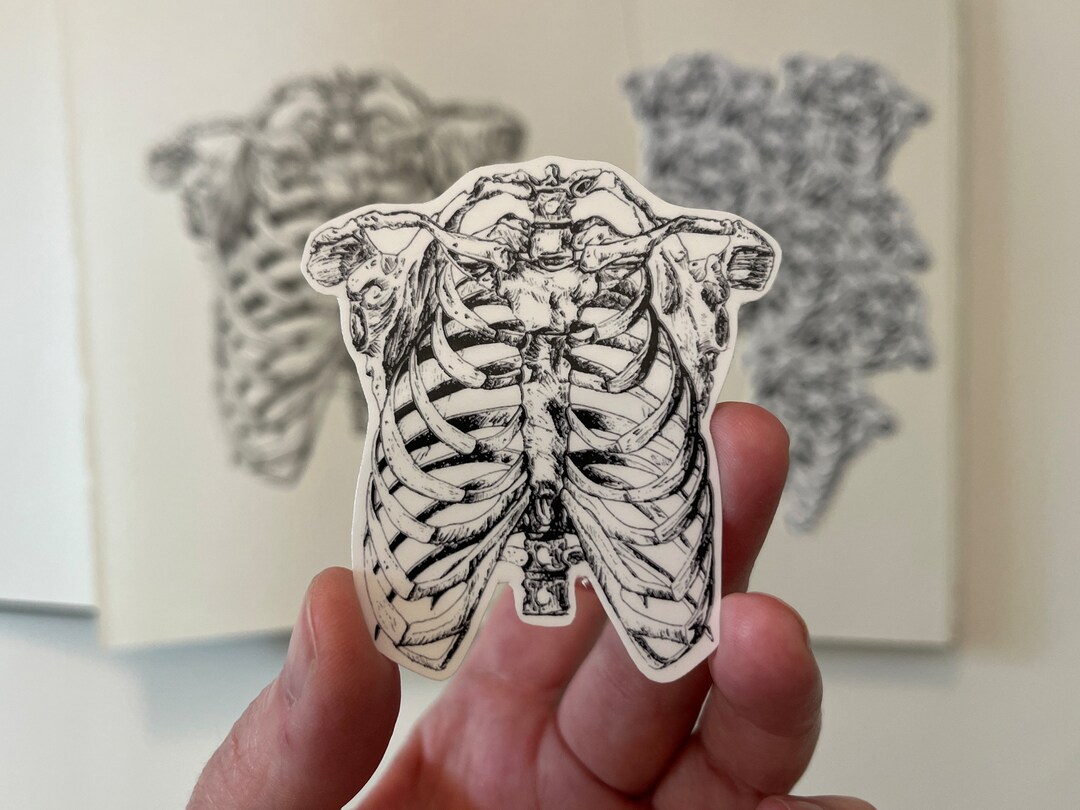 Ribcage Ribs Human Anatomy Anatomical Sticker Vinyl Waterproof Art ...