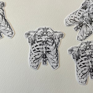 Ribcage Ribs Human Anatomy Anatomical Sticker Vinyl Waterproof Art ...
