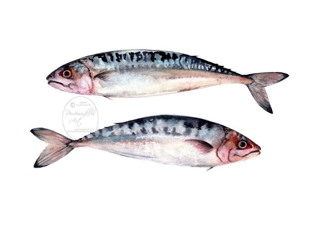 Fish Fisher Fishing Fisherman Beach Ocean Cute Custom 5x7 8x10 9x12 ...