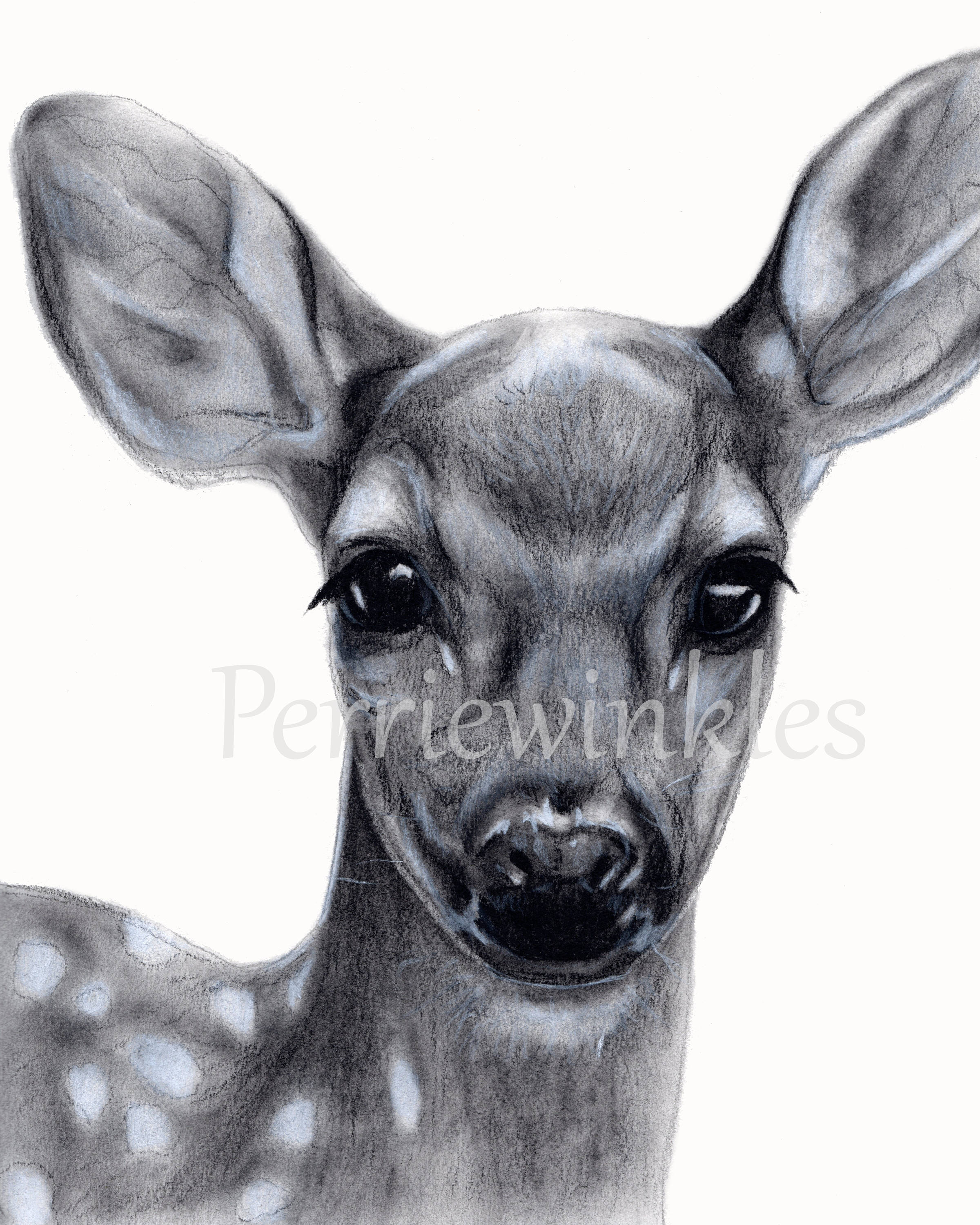 Deer Drawing Fine Art Deer Print Charcoal Drawing Charcoal | Etsy