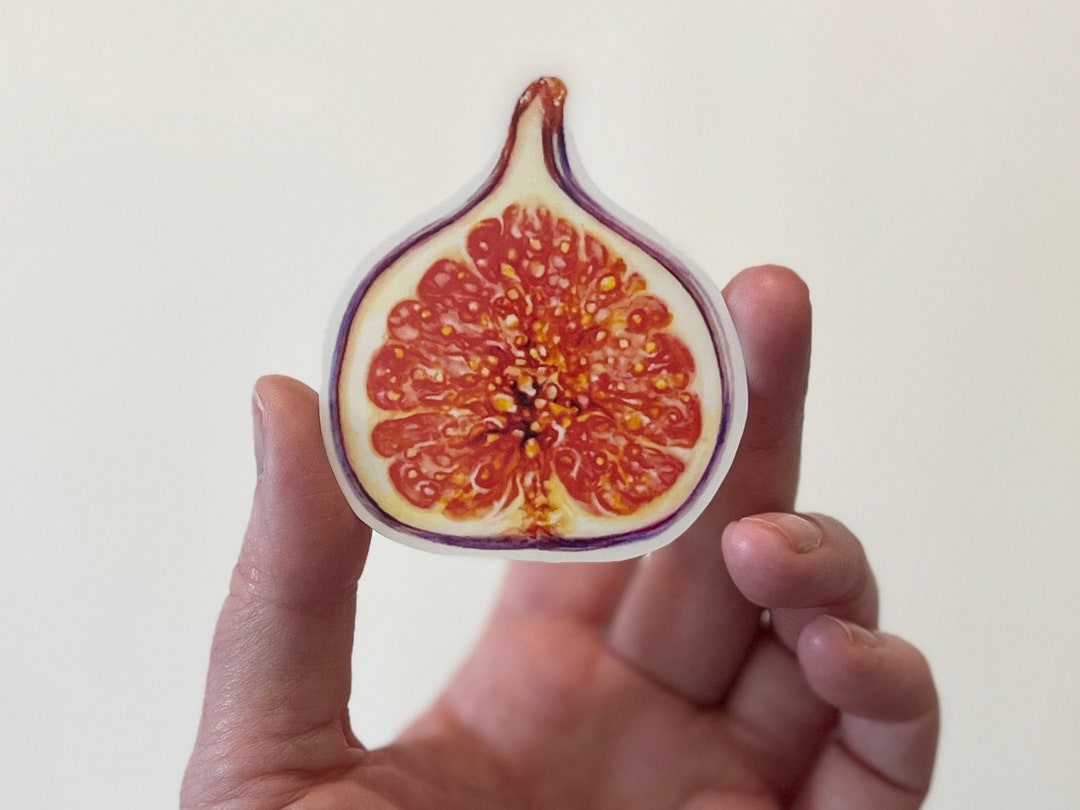 Fig Sticker Vinyl Waterproof Art Stickers Realistic Cute Fruit Figs ...