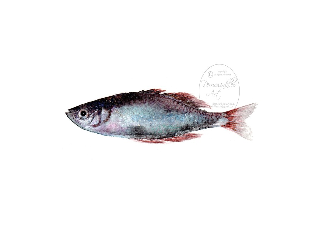 Fish Fisher Fishing Fisherman Beach Ocean Cute Custom 5x7 8x10 9x12 ...