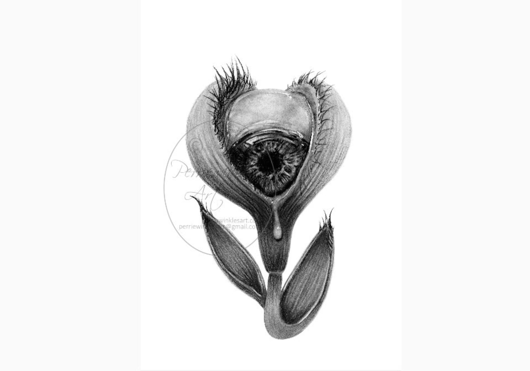 Weird Eye Drawing Surreal Plant Botanical Graphite Charcoal Pencil ...