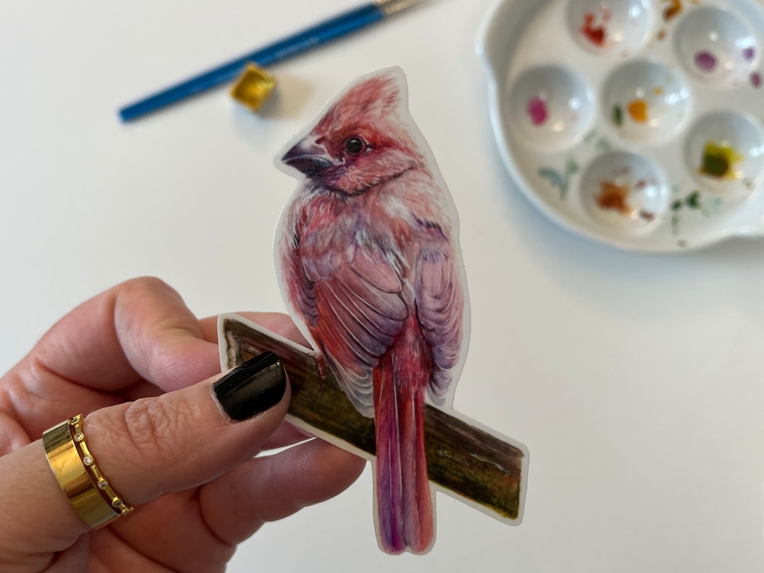 Pink Cardinal Vinyl Waterproof Art Sticker Realistic Drawing Watercolor ...
