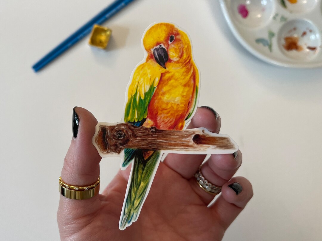 Parrot Parrots Vinyl Waterproof Art Sticker Realistic Drawing ...