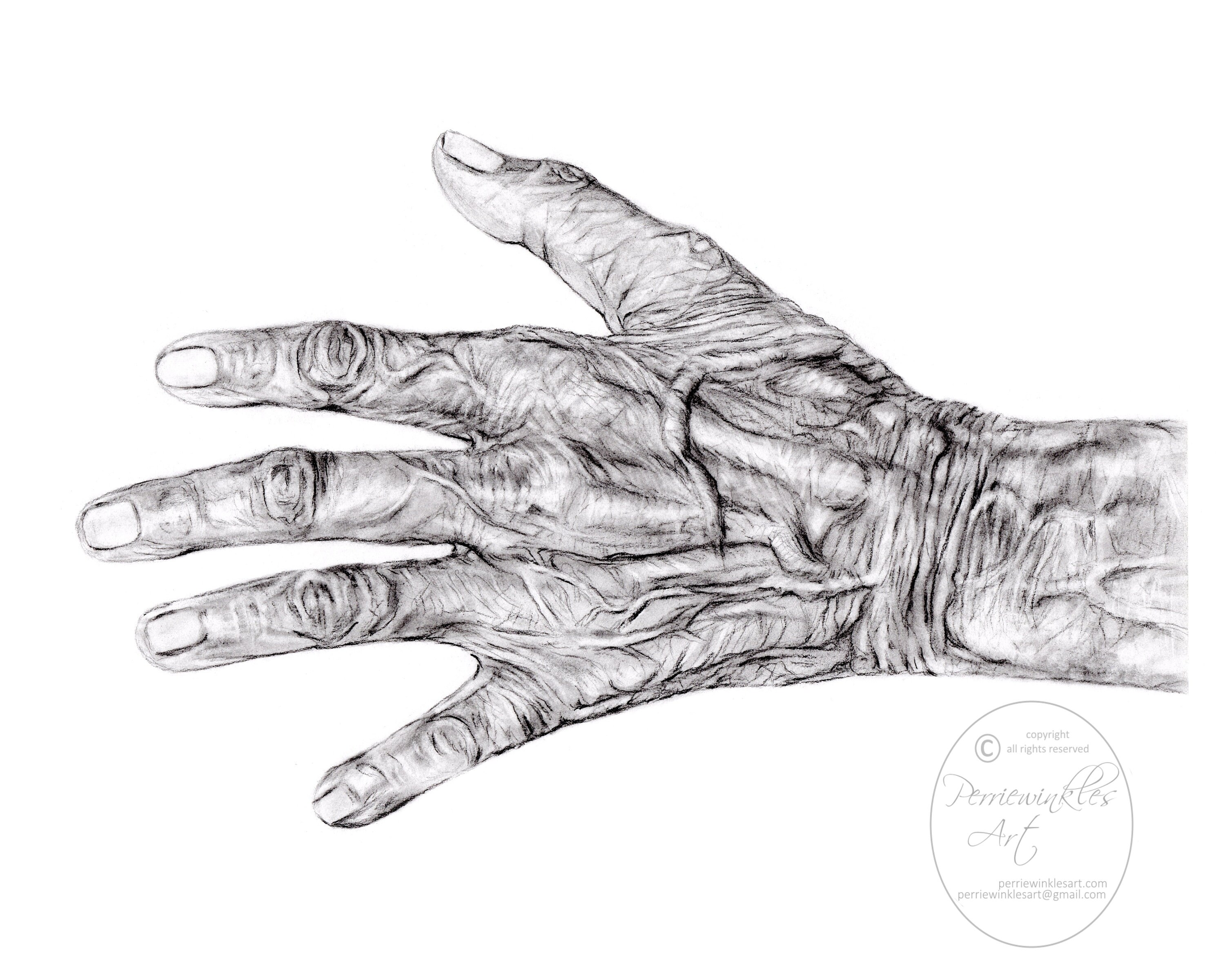 Hyper Realistic Art Pen