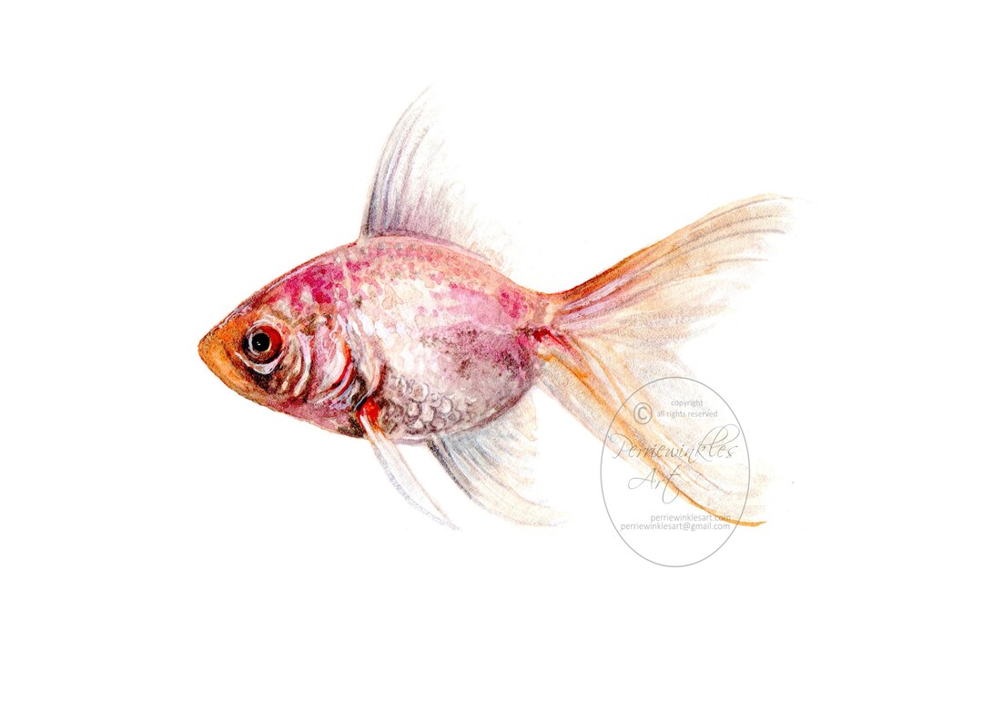 Fish Fisher Fishing Fisherman Beach Ocean Cute Custom 5x7 8x10 9x12 ...