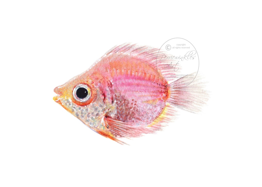 Fish Fisher Fishing Fisherman Beach Ocean Cute Custom 5x7 8x10 9x12 ...