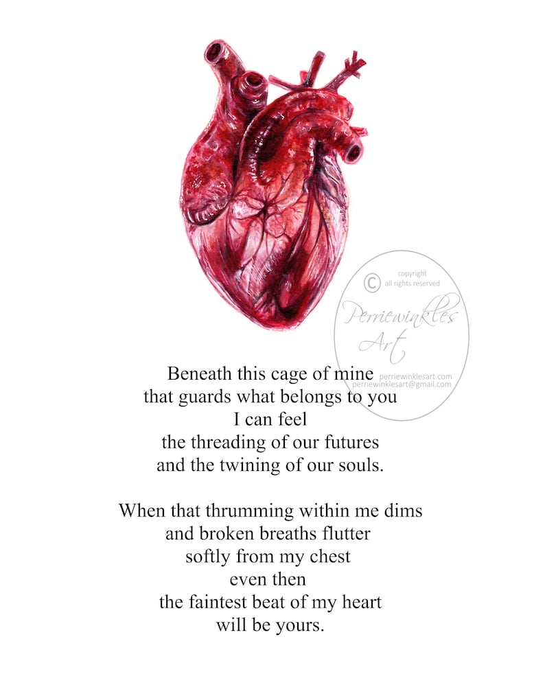 Original Poem, Poetry, Human Heart, Anatomical Heart, Dark Art ...