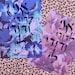Chag Sameach, Hebrew Card, Jewish Greeting Card, Jewish Holiday Card ...