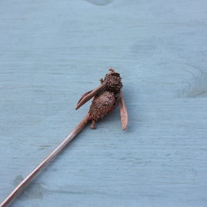 Creepy Hair Jewelry: Real Hornet Hair Stick With Insect Wing Detail ...