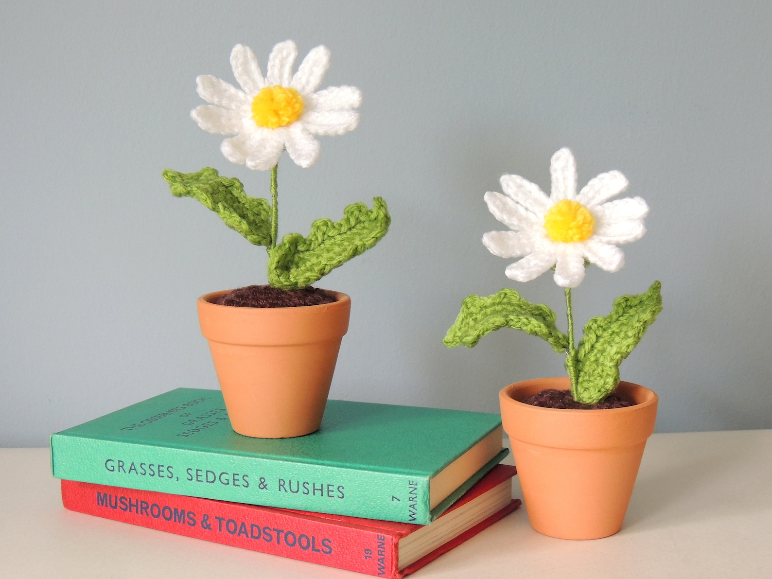 Crochet Daisy Crochet Flower in Pot Crochet Flower - Etsy
