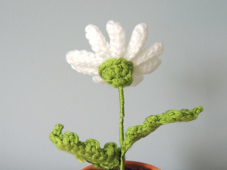 Crochet Daisy Crochet Flower in Pot Crochet Flower - Etsy UK