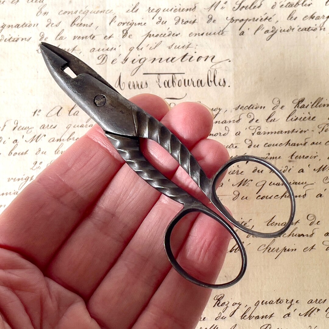 Antique Steel Buttonhole/sewing Scissors Late 19th-early 20th Century ...