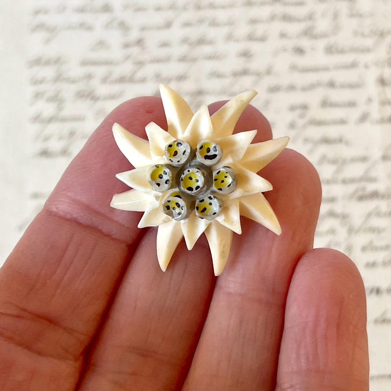 Edelweiss Brooch - Etsy