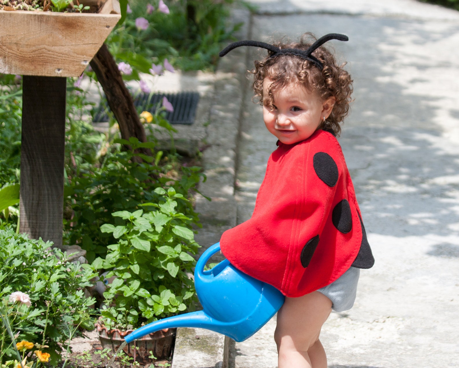 Ladybug Costume, Toddler Girl Halloween Costume, Ladybird Red Cape ...