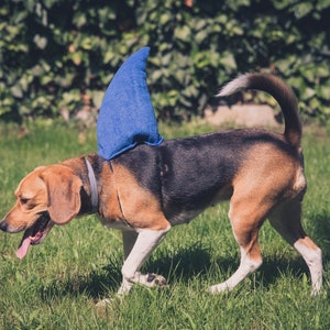 Shark Fin for Dogs, Dog Halloween Costume, Cosplay Accessory, Shark ...