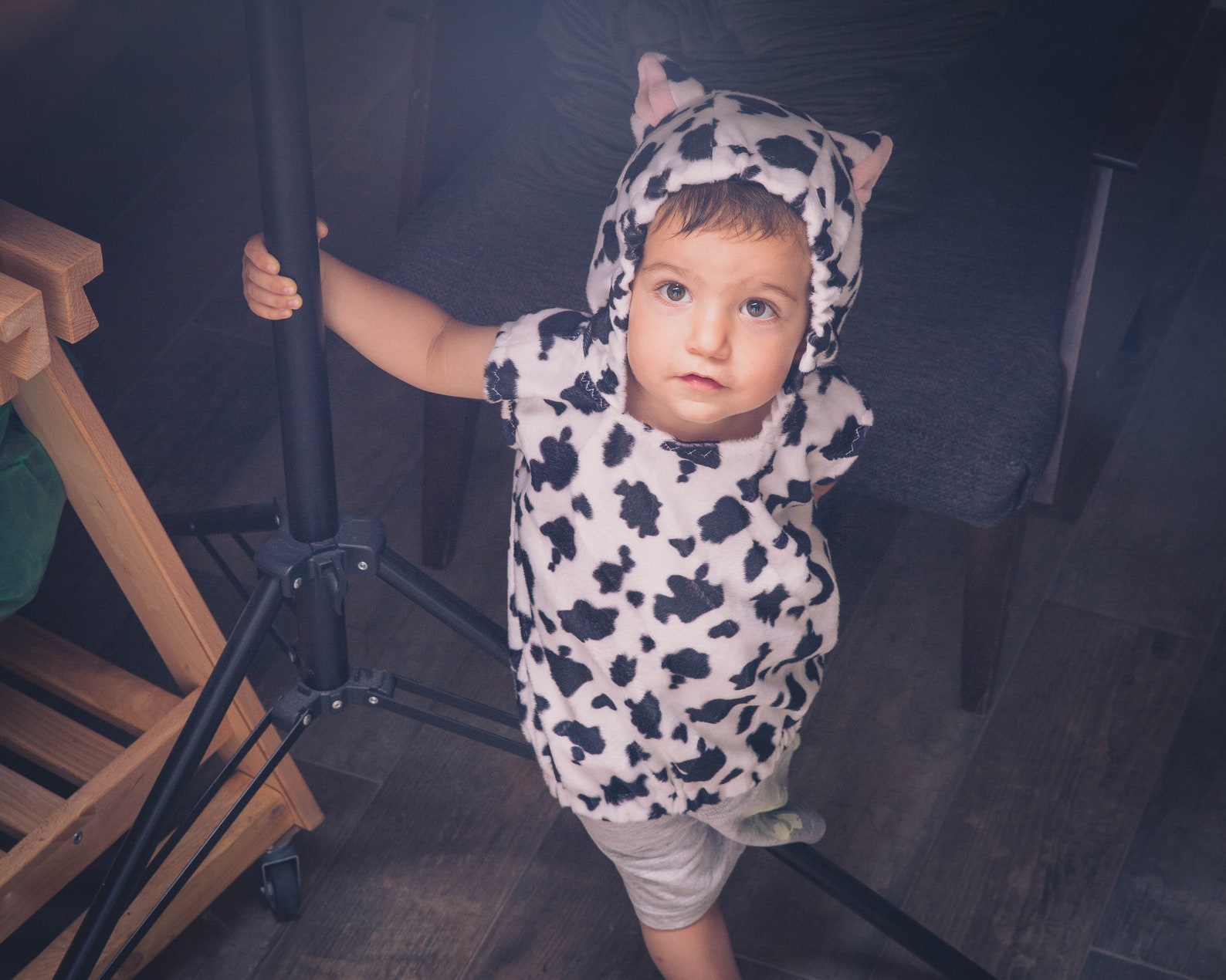 Toddler Cow Costume, Halloween Costume for Boys or Girls, Cattle Calf ...
