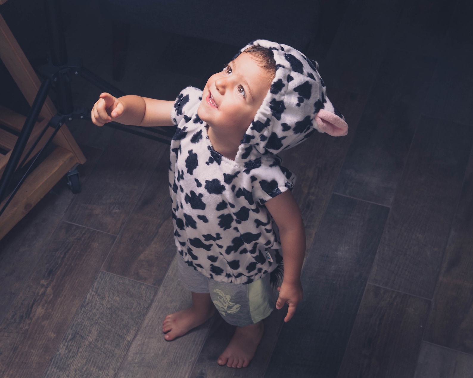 Toddler Cow Costume, Halloween Costume for Boys or Girls, Cattle Calf ...
