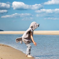Seal Costume – Ocean Animal Halloween Costume for Boys or Girls ...