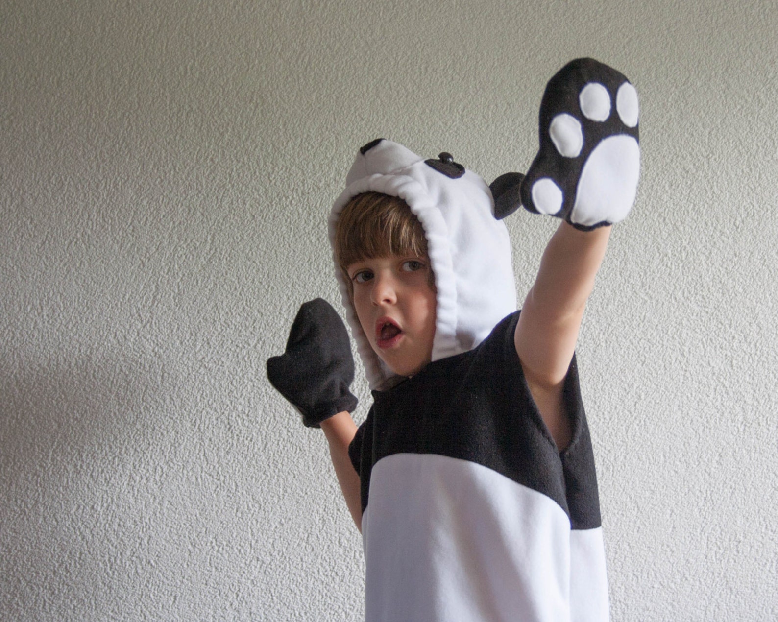 Panda Costume, Panda Bear Halloween Costume, Party Costume, for Boys or ...